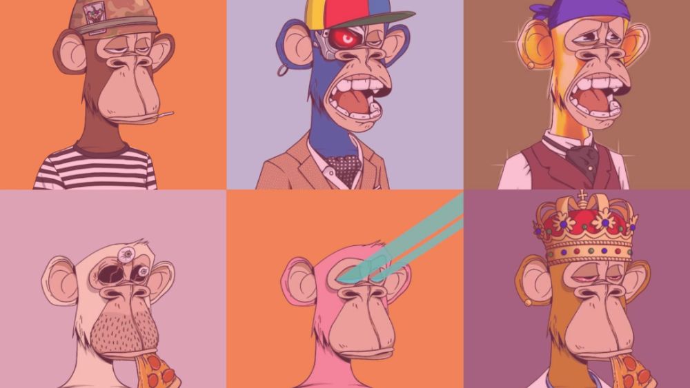 NFT Collections - What Are They & How to Find The Best Ones (For Beginners)